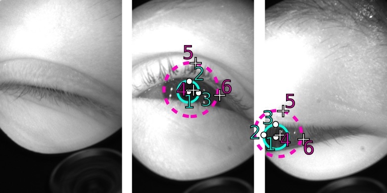 OpenEDS: Open Eye Dataset | DeepAI