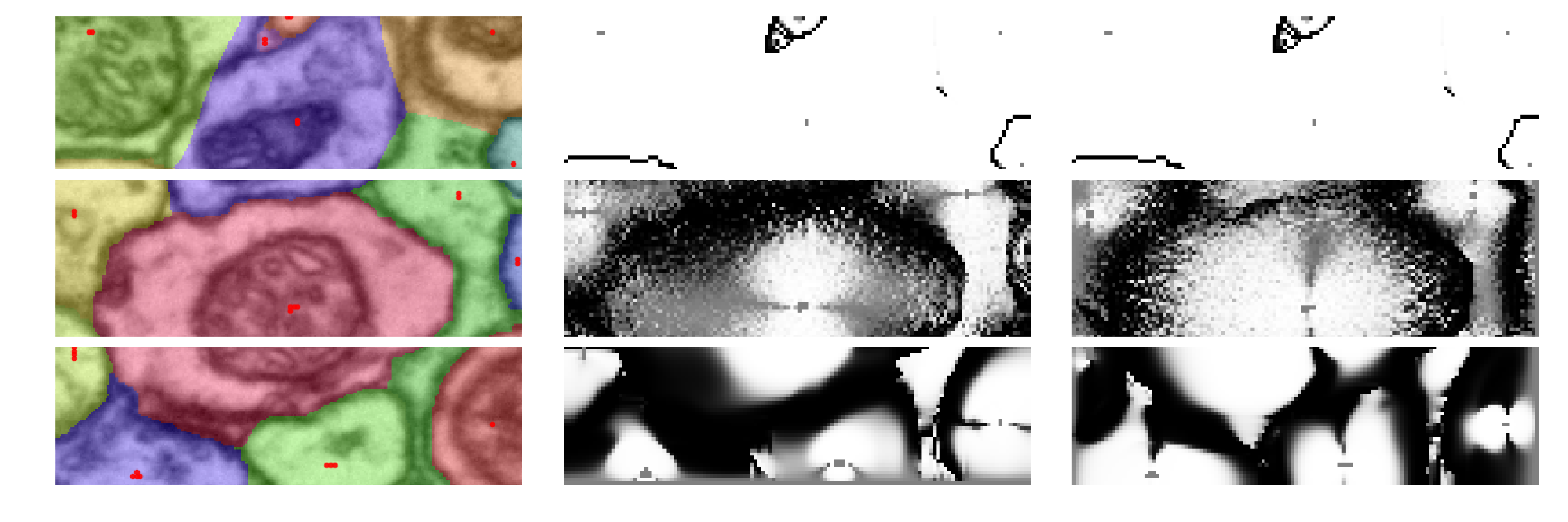 End To End Learned Random Walker For Seeded Image Segmentation Deepai