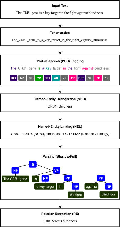 Using Neural Networks For Relation Extraction From Biomedical