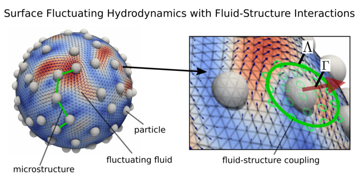Surface Fluctuating Hydrodynamics Methods for the Drift-Diffusion ...