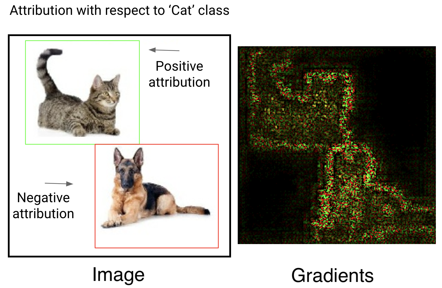 Segment Integrated Gradients: Better attributions through regions | DeepAI