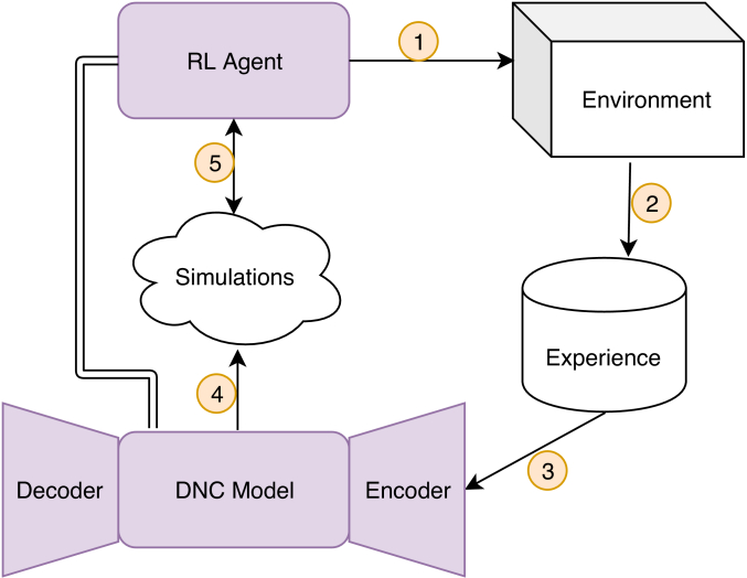 Iterative Model-Based Reinforcement Learning Using Simulations in the Differentiable Neural ...