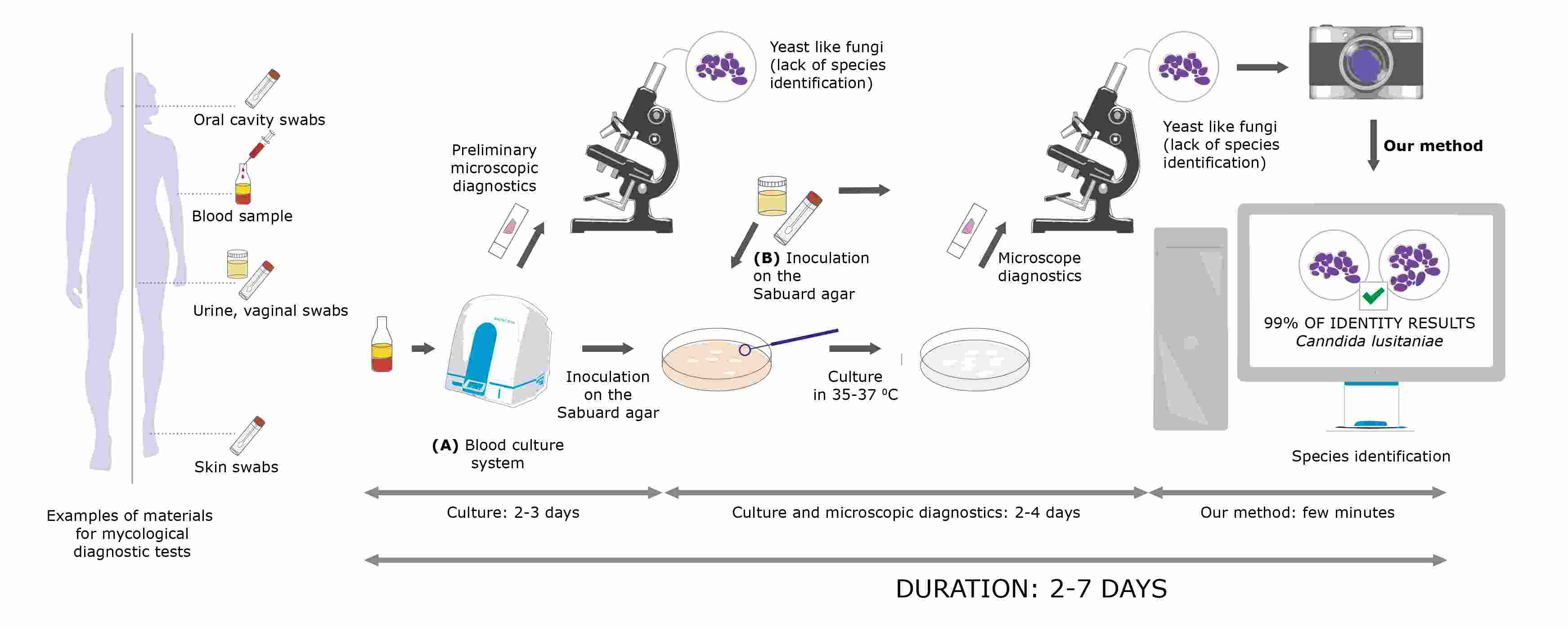 Deep learning approach to description and classification of fungi ...