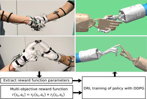 Demonstration-Guided Deep Reinforcement Learning of Control Policies for Dexterous Human-Robot ...