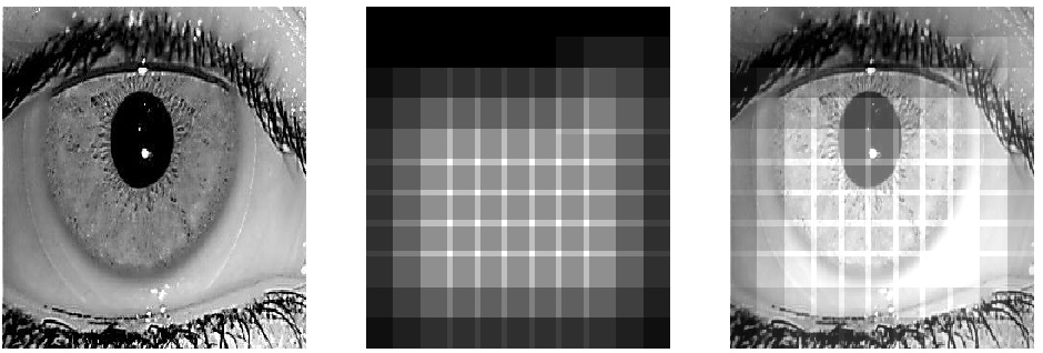 DeepIris: Iris Recognition Using A Deep Learning Approach | DeepAI