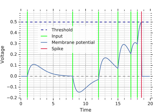 Temporal Coding In Spiking Neural Networks With Alpha Synaptic Function Deepai 