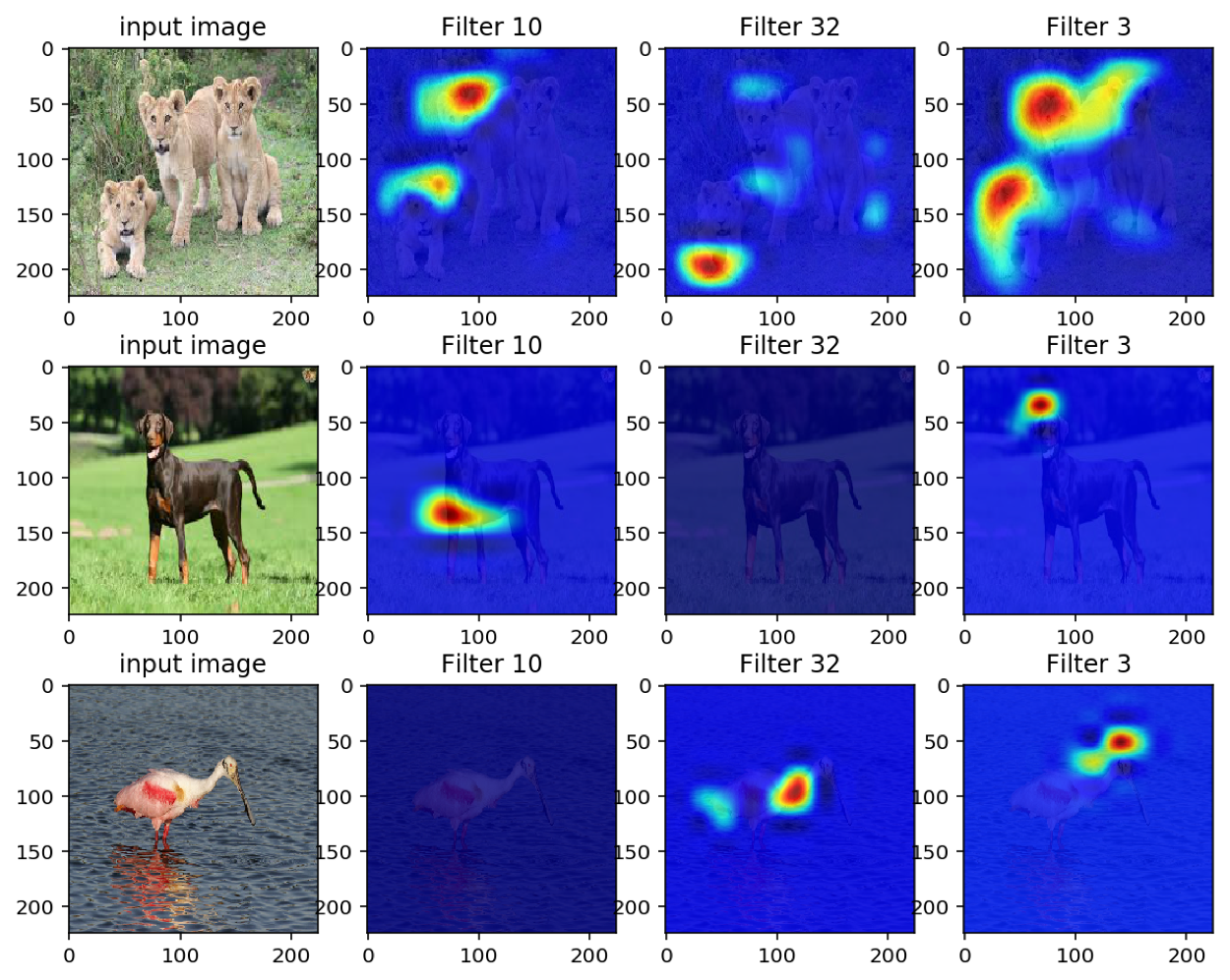Smooth Grad-CAM++: An Enhanced Inference Level Visualization Technique ...