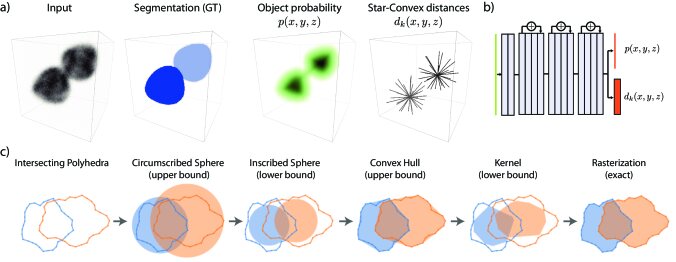 Star Convex Polyhedra For 3d Object Detection And Segmentation In Microscopy Deepai