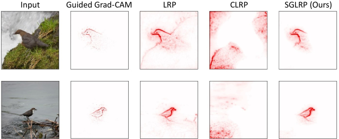 Explaining Convolutional Neural Networks Using Softmax Gradient Layer Wise Relevance Propagation
