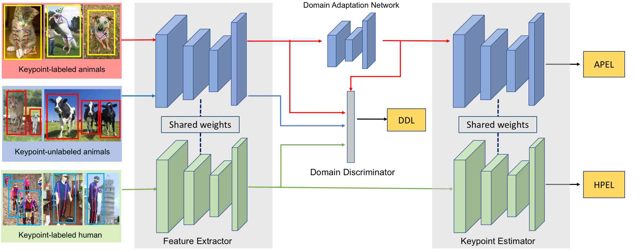 Cross-Domain Adaptation for Animal Pose Estimation | DeepAI