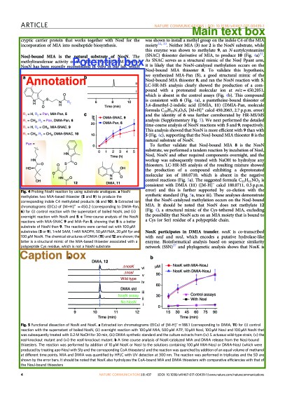 PubLayNet: largest dataset ever for document layout analysis | DeepAI