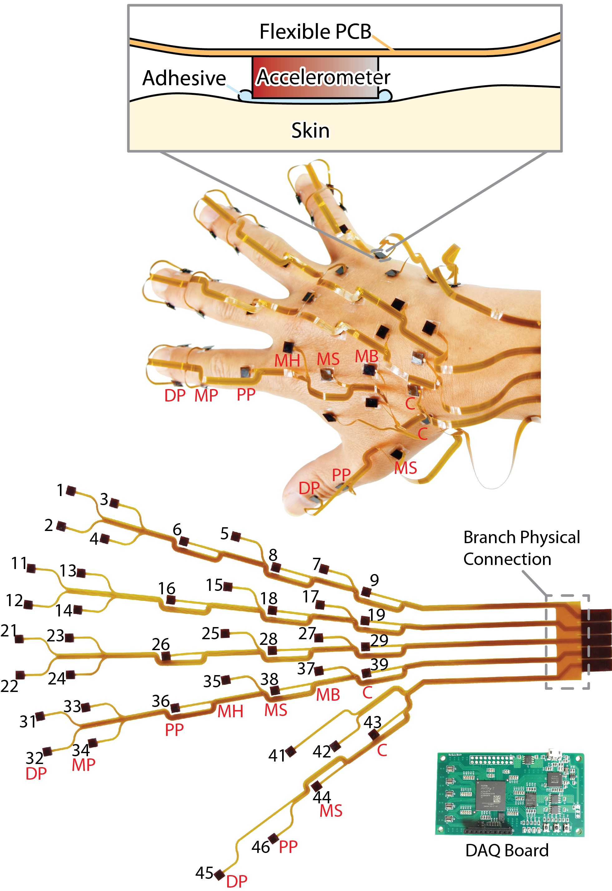 A Wearable Tactile Sensor Array for Large Area Remote Vibration Sensing in the Hand | DeepAI