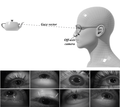 EyeNet: A Multi-Task Network for Off-Axis Eye Gaze Estimation and User ...