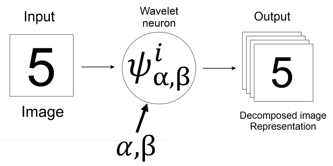 Multi Path Learnable Wavelet Neural Network For Image Classification