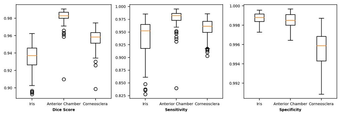 Deep Learning Algorithms to Isolate and Quantify the Structures of the Anterior Segment in ...