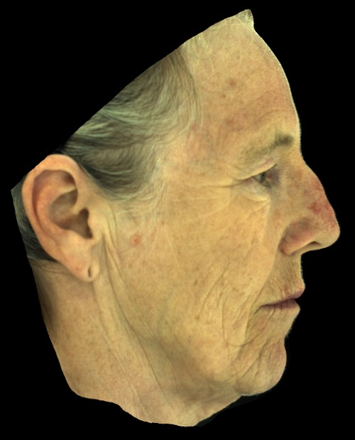 3D Morphable Face Models – Past, Present and Future | DeepAI