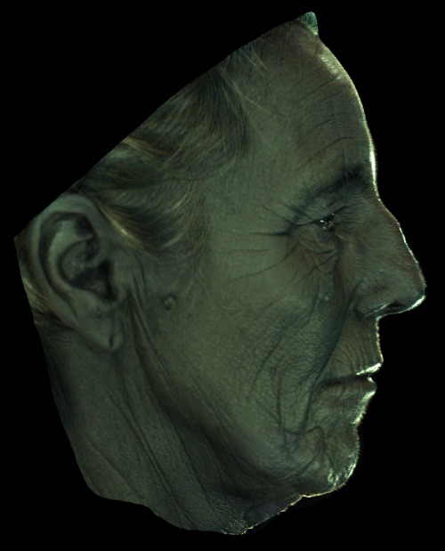3D Morphable Face Models – Past, Present and Future | DeepAI