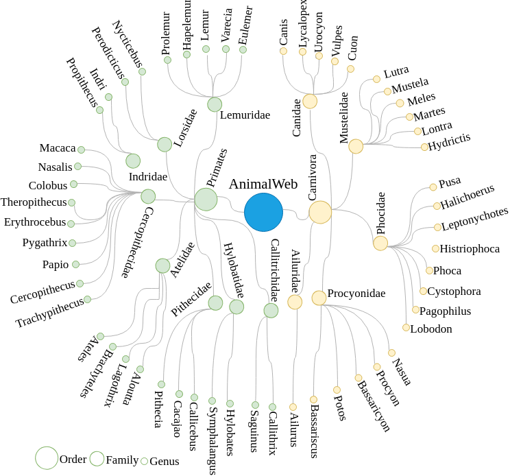 AnimalWeb: A Large-Scale Hierarchical Dataset of Annotated Animal Faces ...