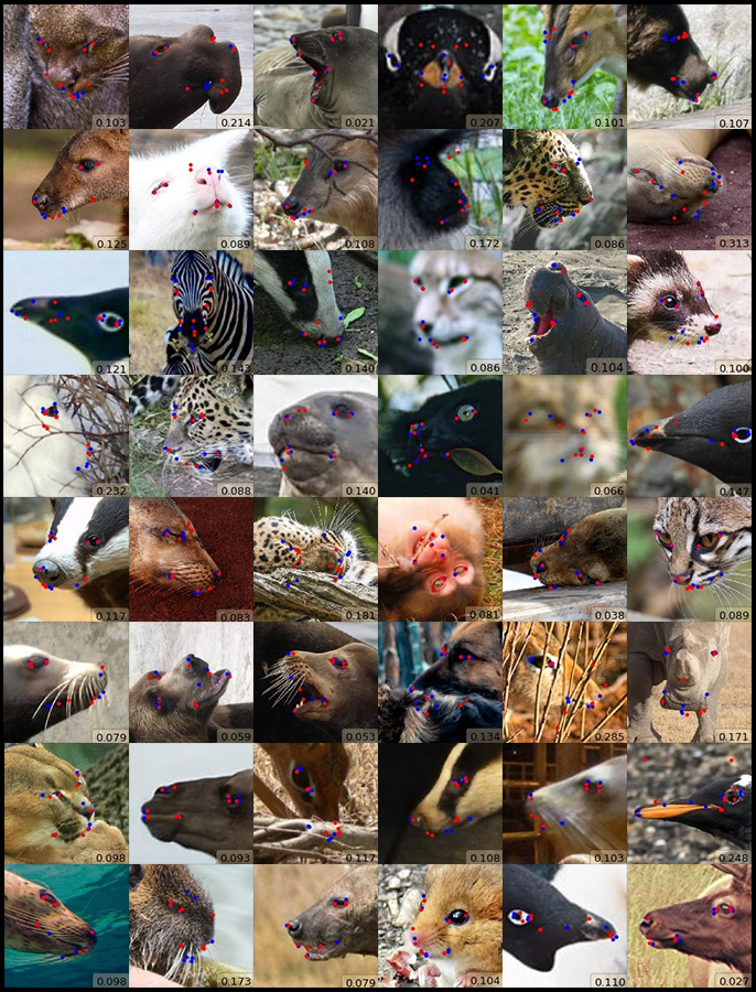 AnimalWeb: A Large-Scale Hierarchical Dataset of Annotated Animal Faces ...