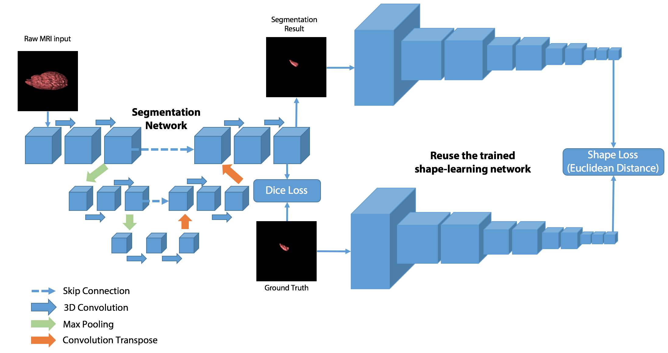3d Deep Affine Invariant Shape Learning For Brain Mr Image Segmentation Deepai