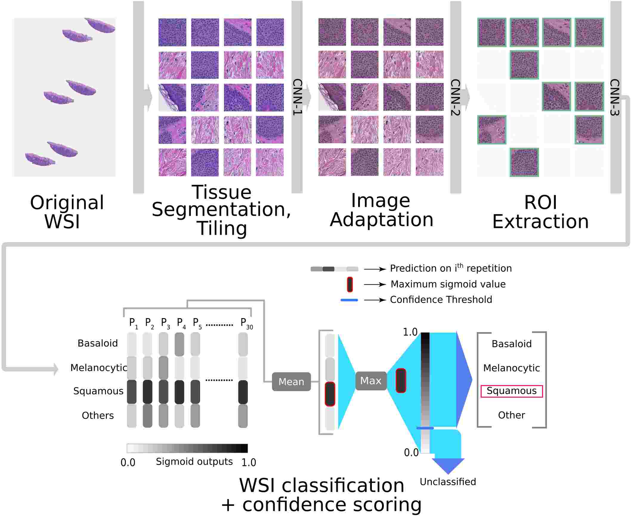 Augmenting the Pathology Lab: An Intelligent Whole Slide Image ...