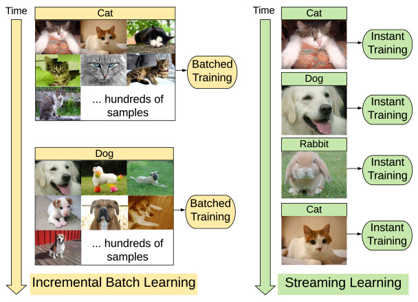 REMIND Your Neural Network to Prevent Catastrophic Forgetting | DeepAI