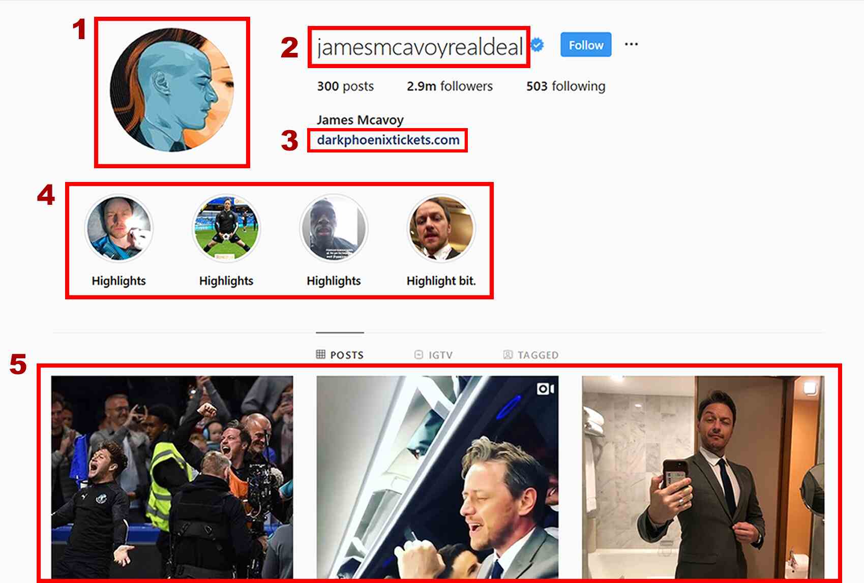 Instagram Fake and Automated Account Detection | DeepAI