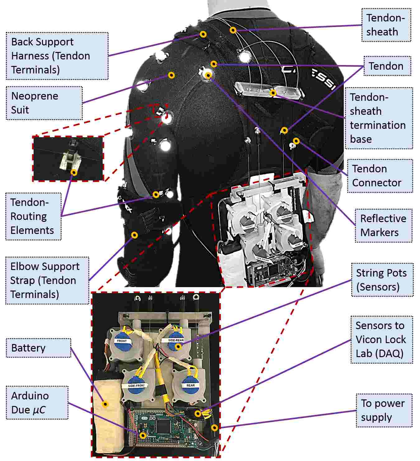 Design and Prototyping of a Bio-inspired Kinematic Sensing Suit for the ...