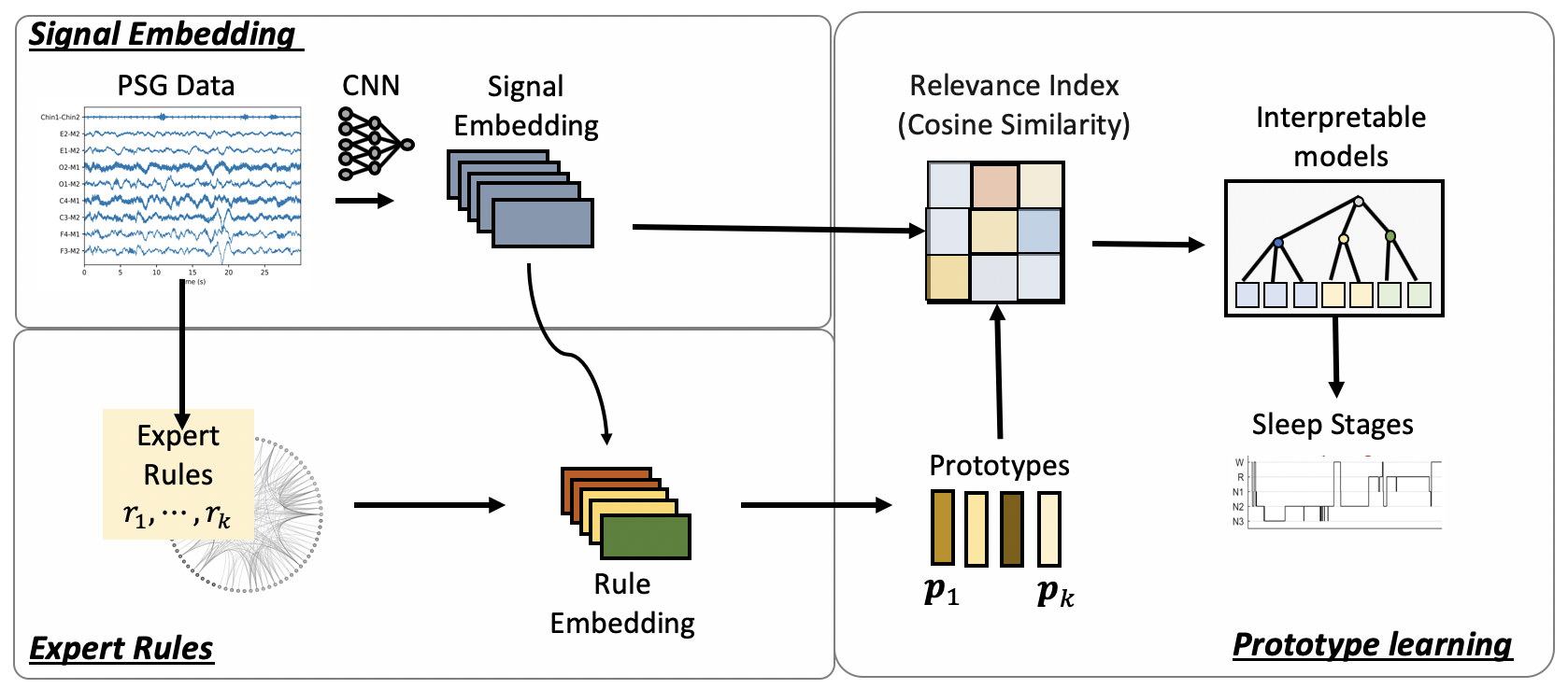 SLEEPER: interpretable Sleep staging via Prototypes from Expert Rules | DeepAI