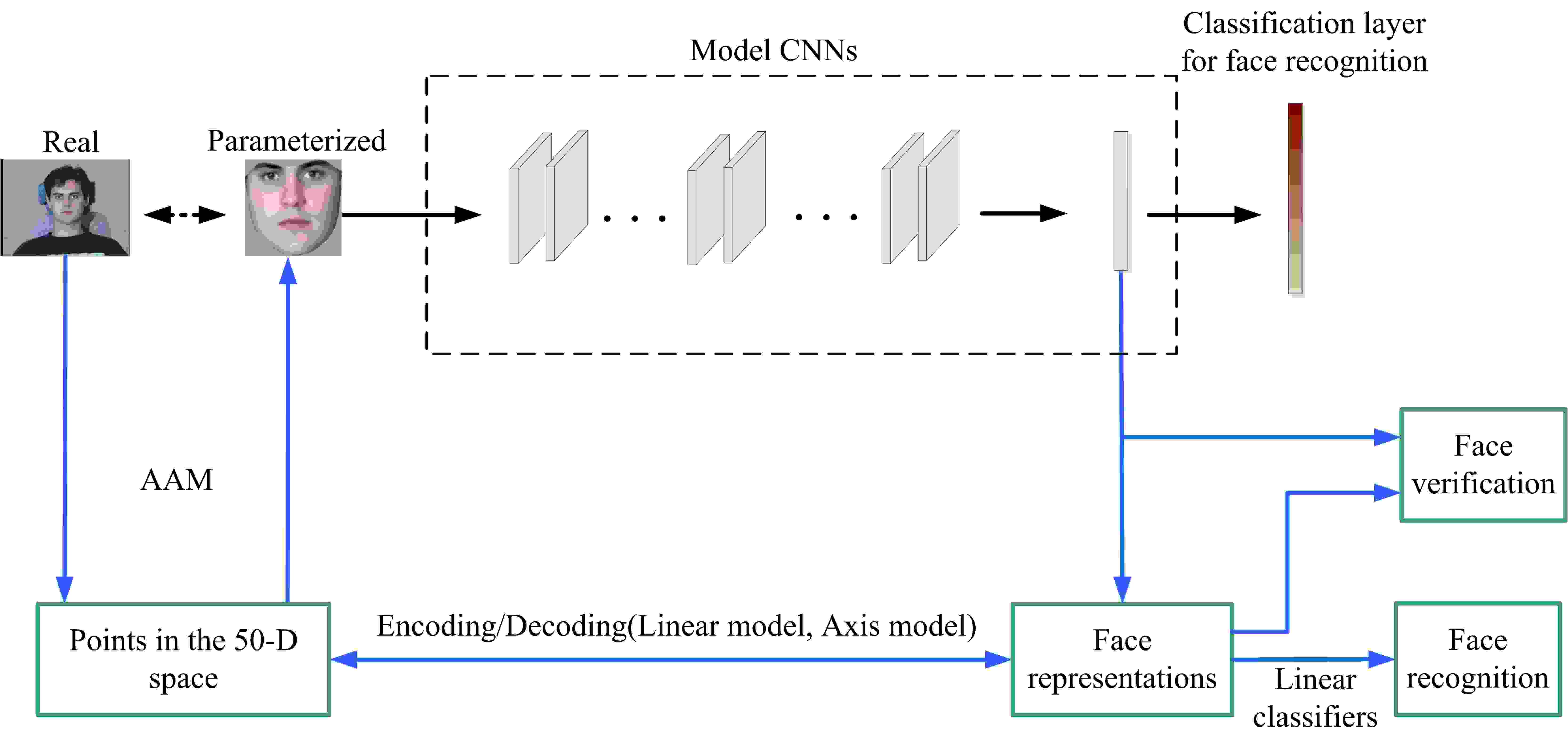 Face representation by deep learning: a linear encoding in a parameter ...