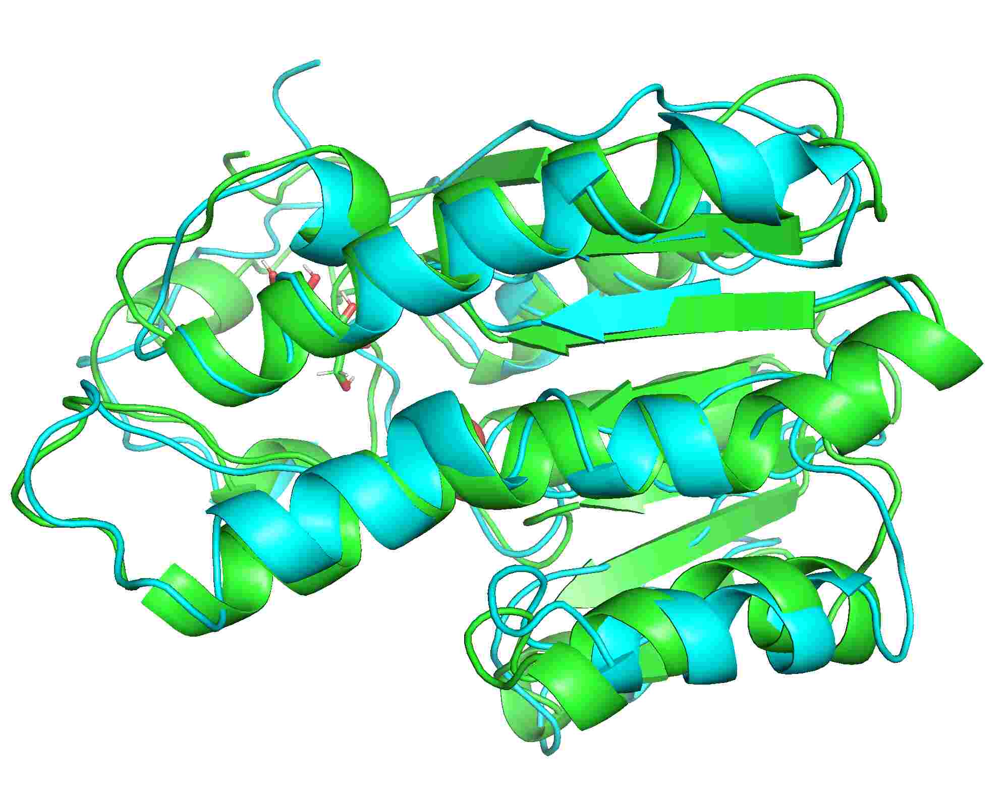 Accurate Protein Structure Prediction by Embeddings and Deep Learning ...