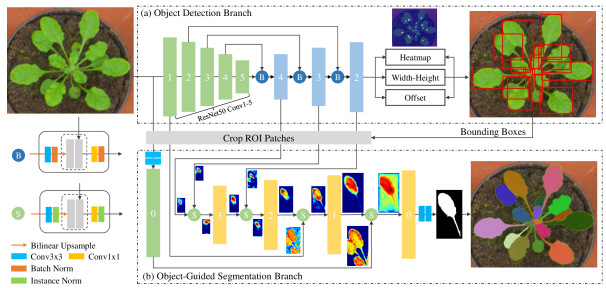 Object Guided Instance Segmentation For Biological Images Deepai