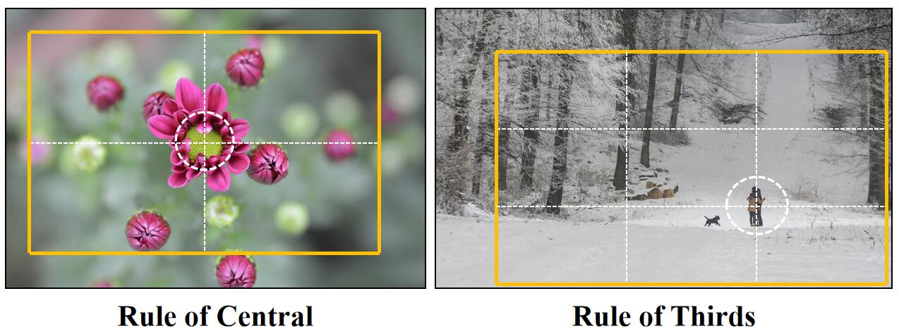 Image Cropping with Composition and Saliency Aware Aesthetic Score Map ...