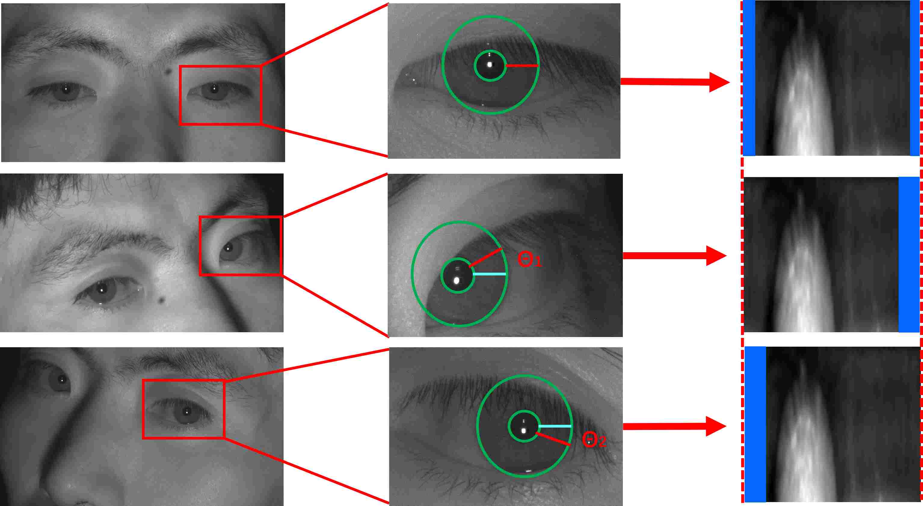 Alignment Free And Distortion Robust Iris Recognition Deepai