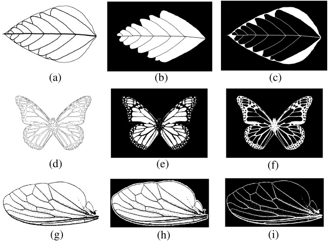 Patchy Image Structure Classification Using Multi-Orientation Region ...