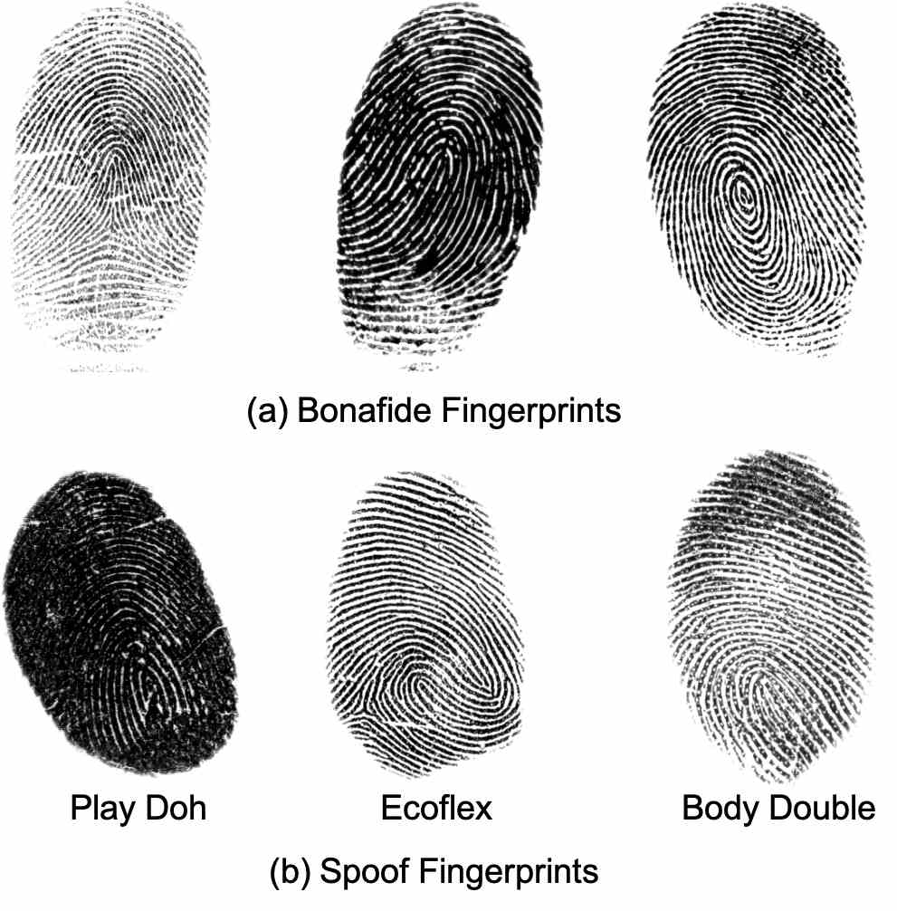 Universal Material Translator: Towards Spoof Fingerprint Generalization ...
