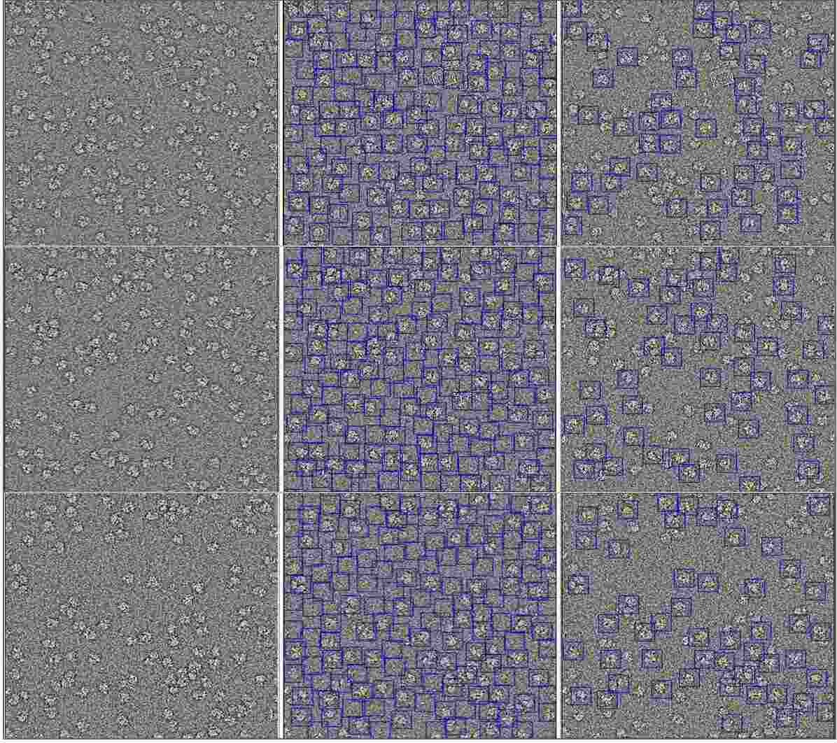 KLT Picker: Particle Picking Using Data-Driven Optimal Templates | DeepAI