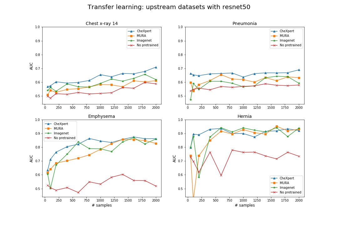 Training Deep Learning Models With Small Datasets Deepai