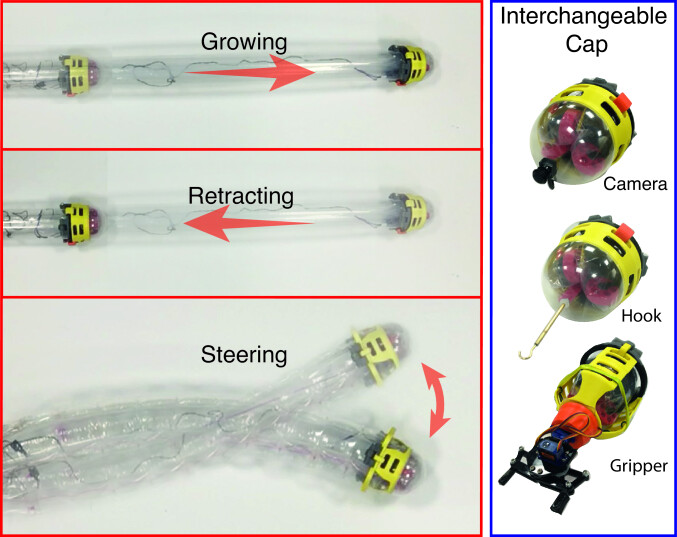 A Tip Mount for Carrying Payloads using Soft Growing Robots | DeepAI
