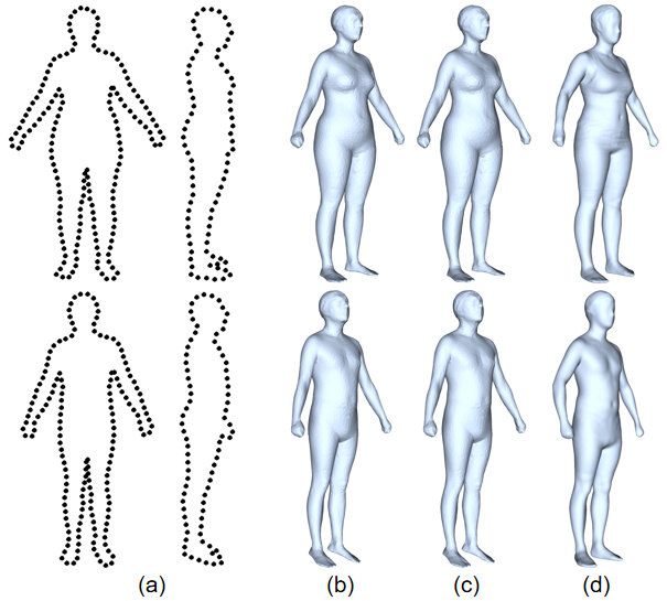 Concise and Effective Network for 3D Human Modeling from Orthogonal ...