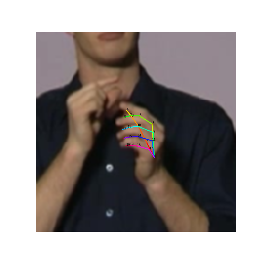 Attention! A Lightweight 2D Hand Pose Estimation Approach | DeepAI