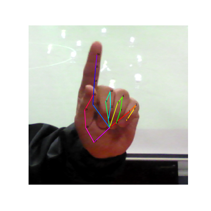 Attention! A Lightweight 2D Hand Pose Estimation Approach | DeepAI