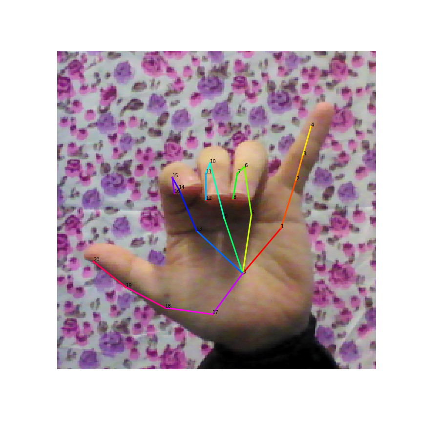 Attention! A Lightweight 2D Hand Pose Estimation Approach | DeepAI