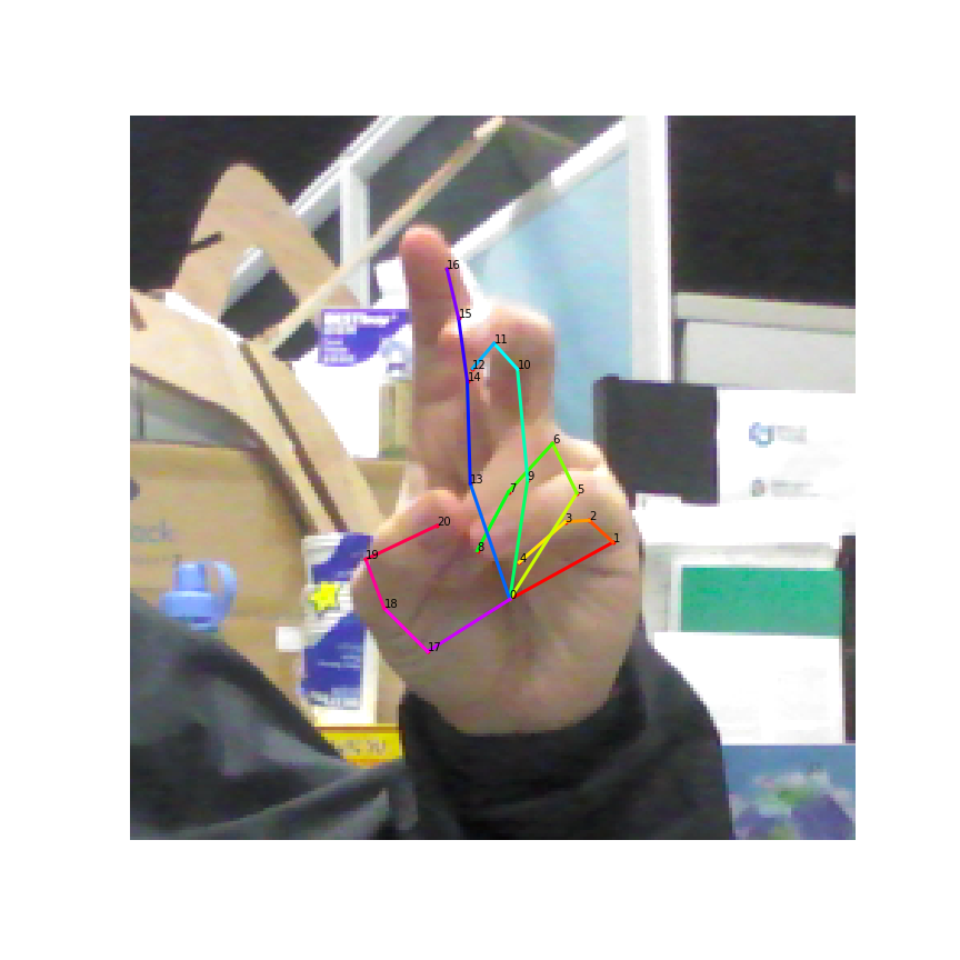 Attention! A Lightweight 2D Hand Pose Estimation Approach | DeepAI