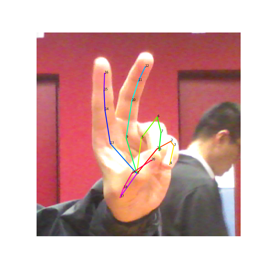 Attention! A Lightweight 2D Hand Pose Estimation Approach | DeepAI