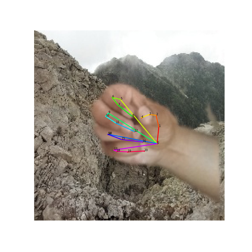 Attention! A Lightweight 2D Hand Pose Estimation Approach | DeepAI