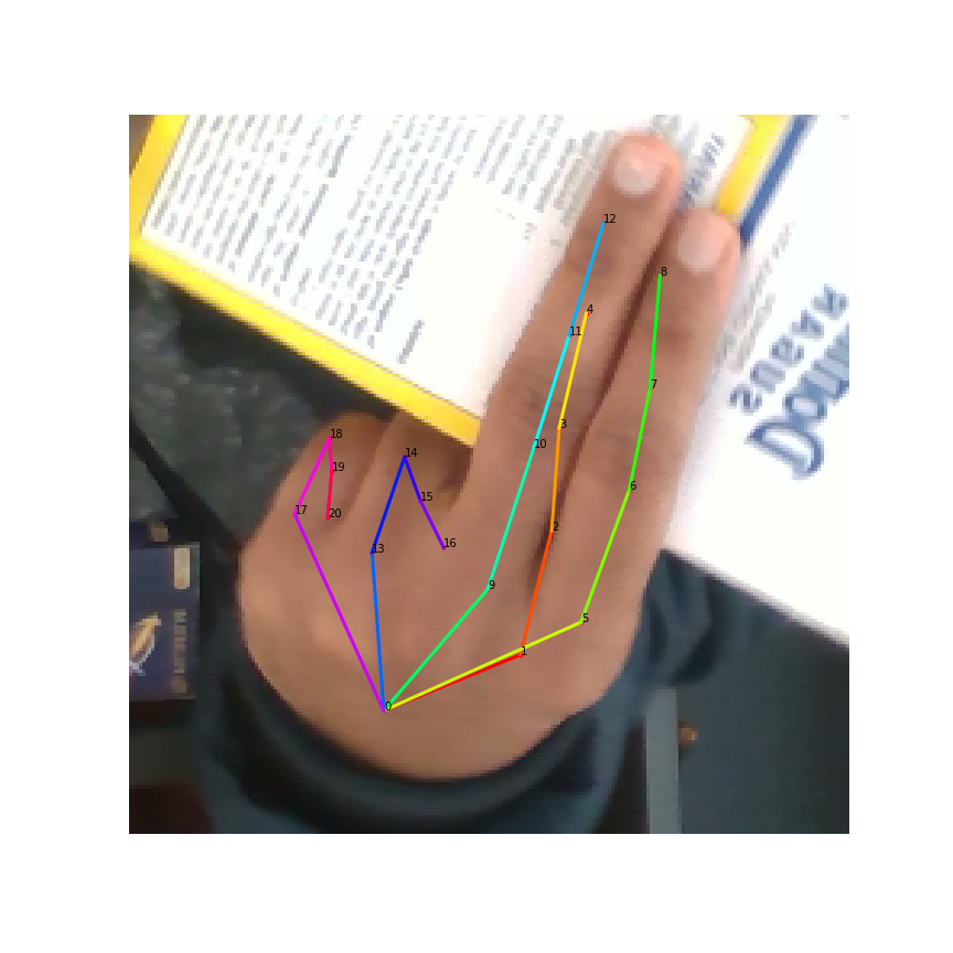 Attention! A Lightweight 2D Hand Pose Estimation Approach | DeepAI