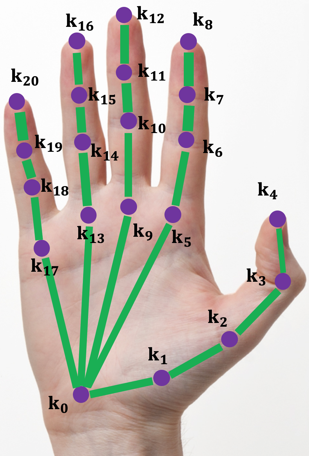 Nonparametric Structure Regularization Machine For 2d Hand Pose