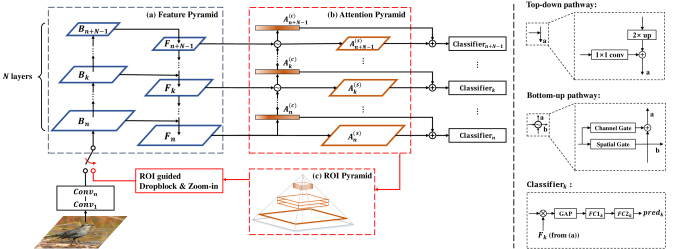 Weakly Supervised Attention Pyramid Convolutional Neural Network for ...