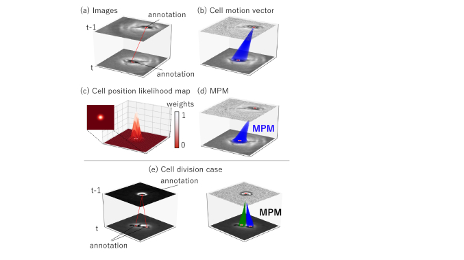 MPM: Joint Representation of Motion and Position Map for Cell Tracking ...